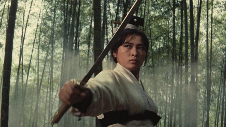 A Beginner's Guide To Wuxia Films | What Are They?